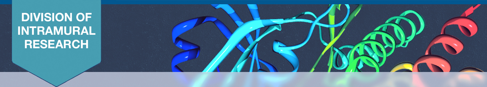 Thomas Dever Lab: Section on Protein Biosynthesis | NICHD - Eunice ...