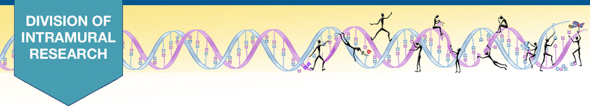 Roger Woodgate Lab: Section on DNA Replication, Repair, and Mutagenesis ...