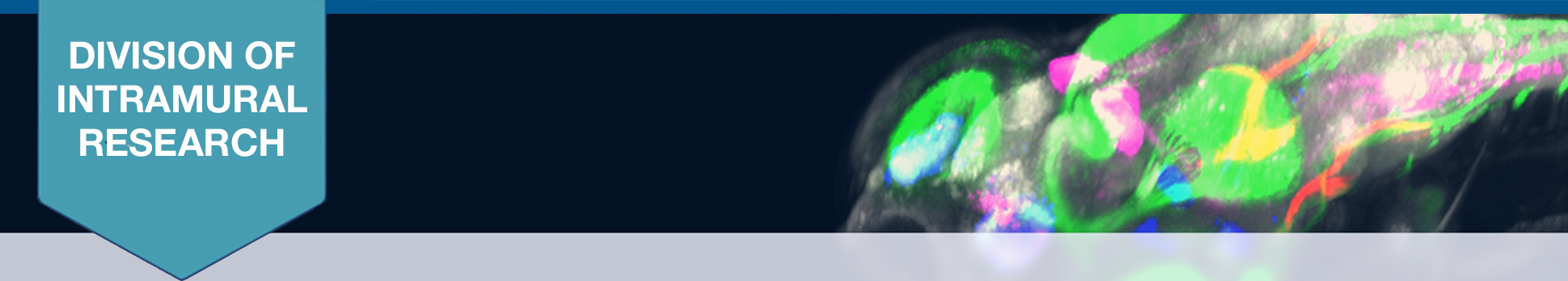 Harold Burgess Lab: Section on Behavioral Neurogenetics | NICHD ...