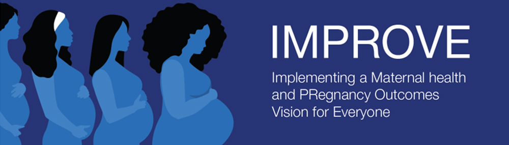 Implementing a Maternal health and PRegnancy Outcomes Vision for ...