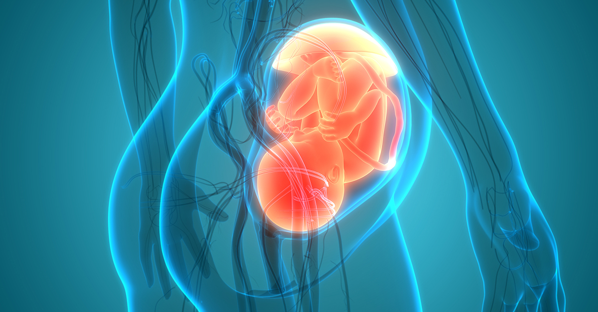 Using Ultrasound to Predict Placental Dysfunction | NICHD - Eunice ...