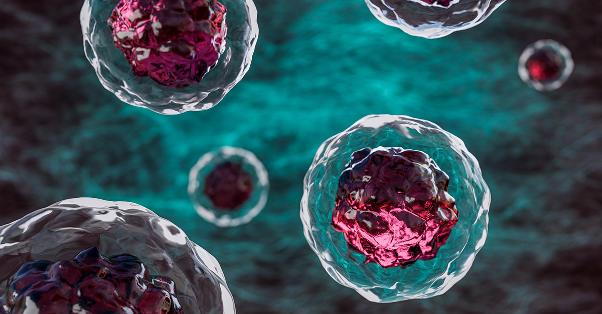 Modeling Preeclampsia Using Stem Cells | NICHD - Eunice Kennedy Shriver ...