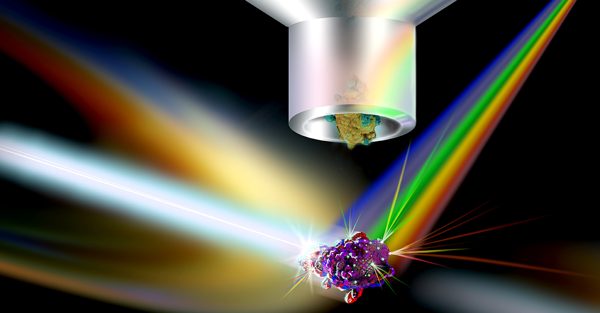 Using Flow Cytometry to Predict Preeclampsia | NICHD - Eunice Kennedy ...