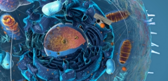 Homepage | NICHD - Eunice Kennedy Shriver National Institute of Child ...